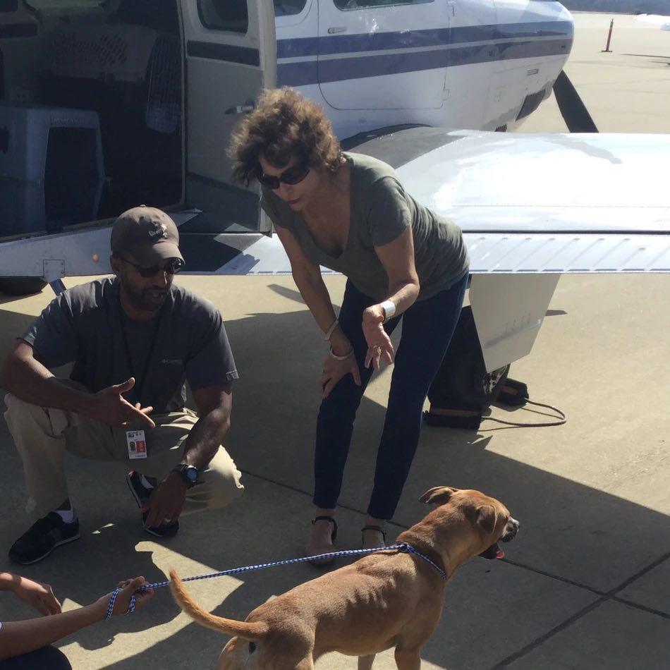 Freedom Flights – CrisisDogsNC