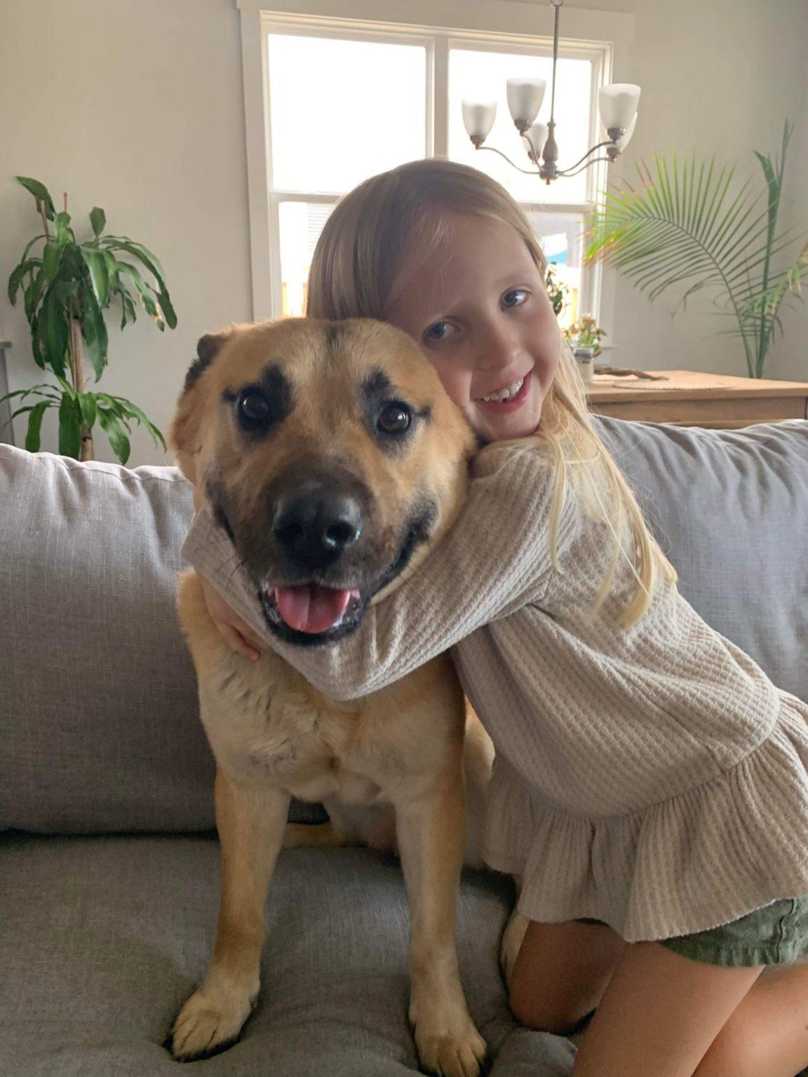 Contact – CrisisDogsNC