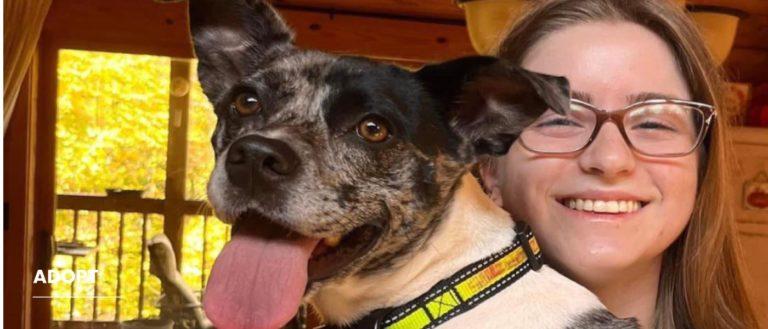 CrisisDogsNC – Good Dogs Deserve Good People