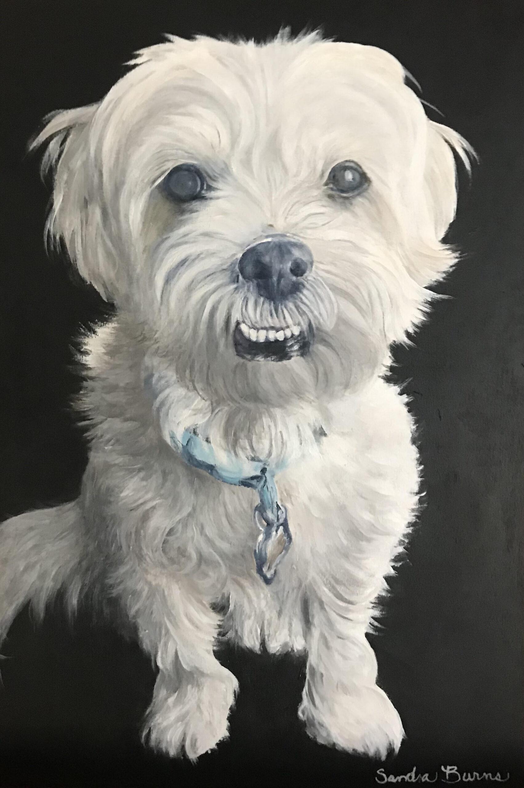 Events - CrisisDogsNC