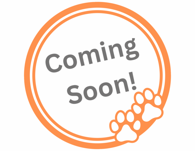 Dogs Coming Soon – CrisisDogsNC